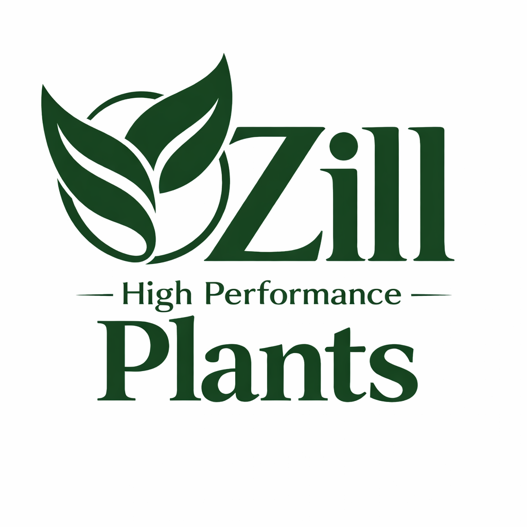 Zill Plants